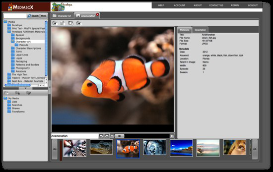 Software Spotlight: Mediabox-DAM Digital Asset Management – MyMediabox