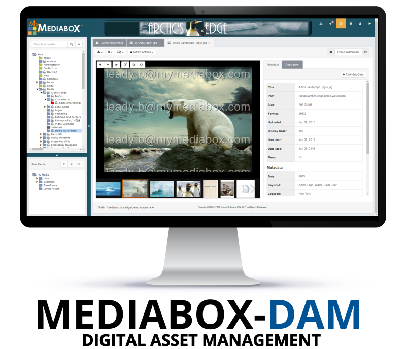 Why it’s important to protect your Digital Assets – MyMediabox